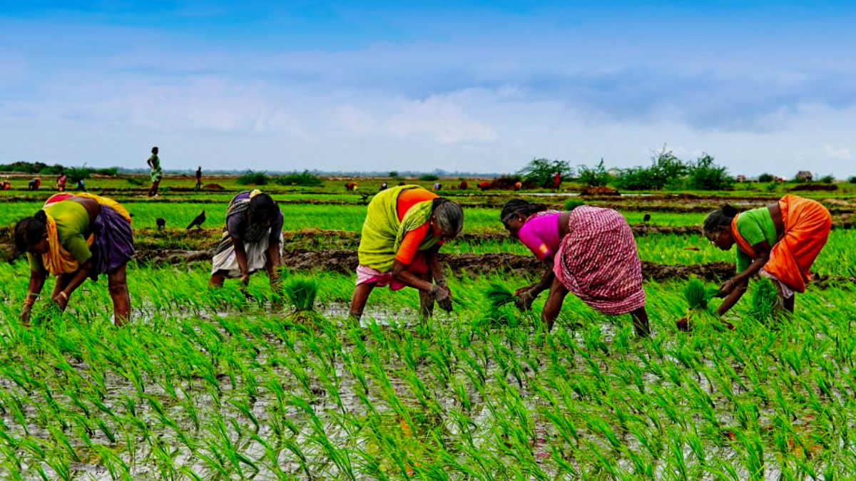 Empowering Women is Smart Economics and Pathway Towards the SDGs - UNFSS