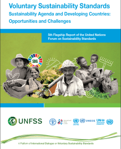 Flagship Publication - UNFSS