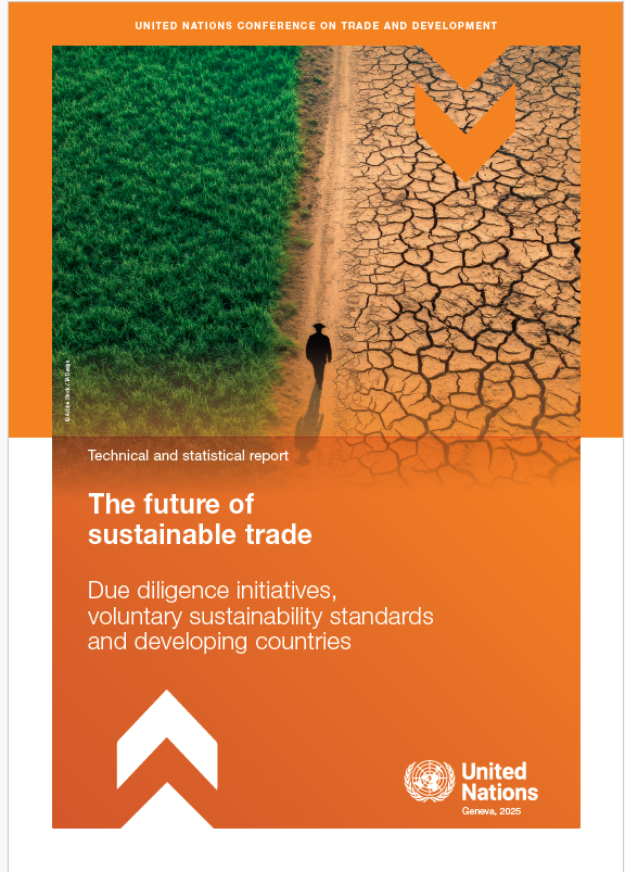 The 6th UNFSS Flagship Report: "The Future of Sustainable Trade: Due ...
